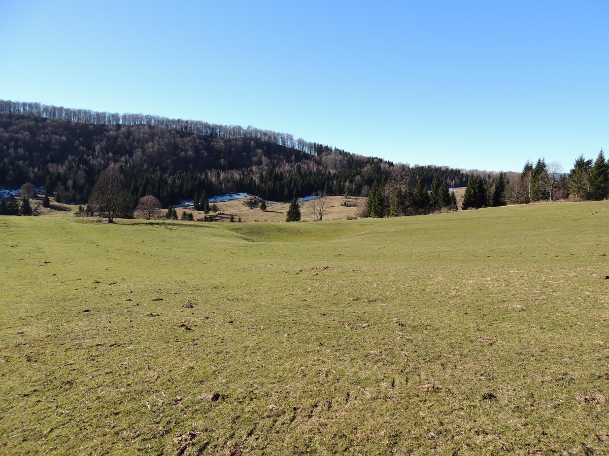 The Farm of Gregor Gomol | Drupal